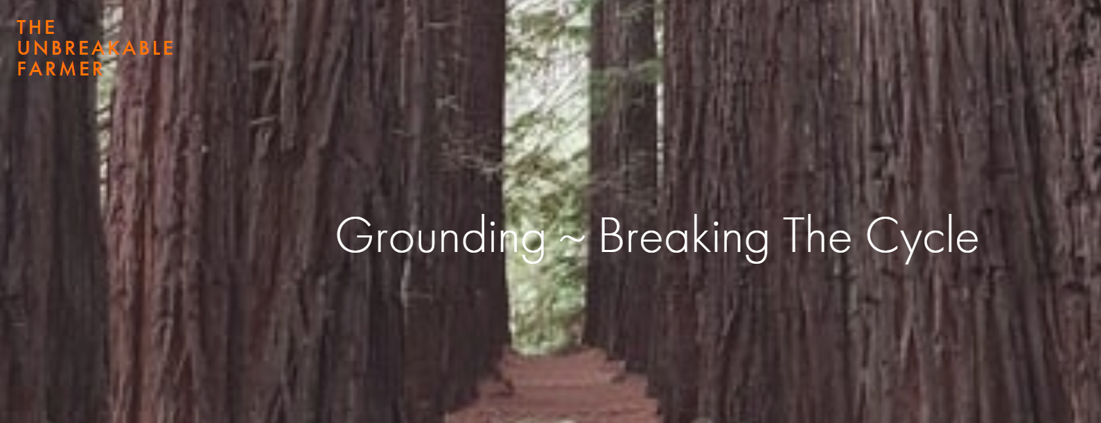 Grounding - Breaking the Cycle | ONFARM