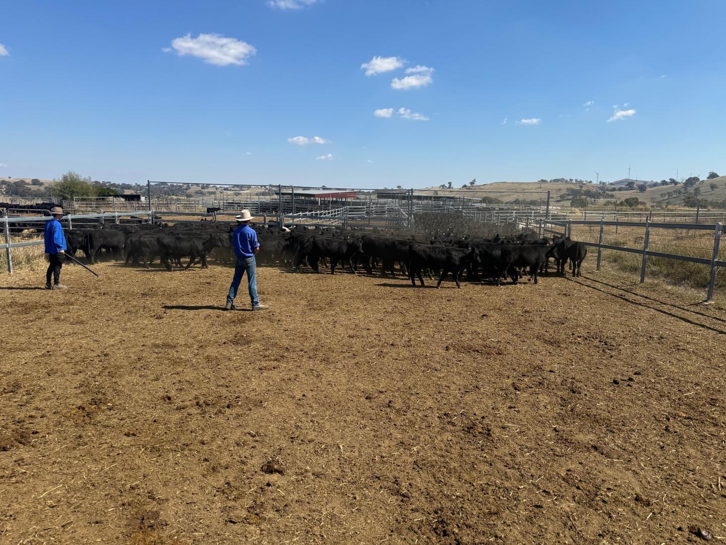 Time to stand up | ONFARM