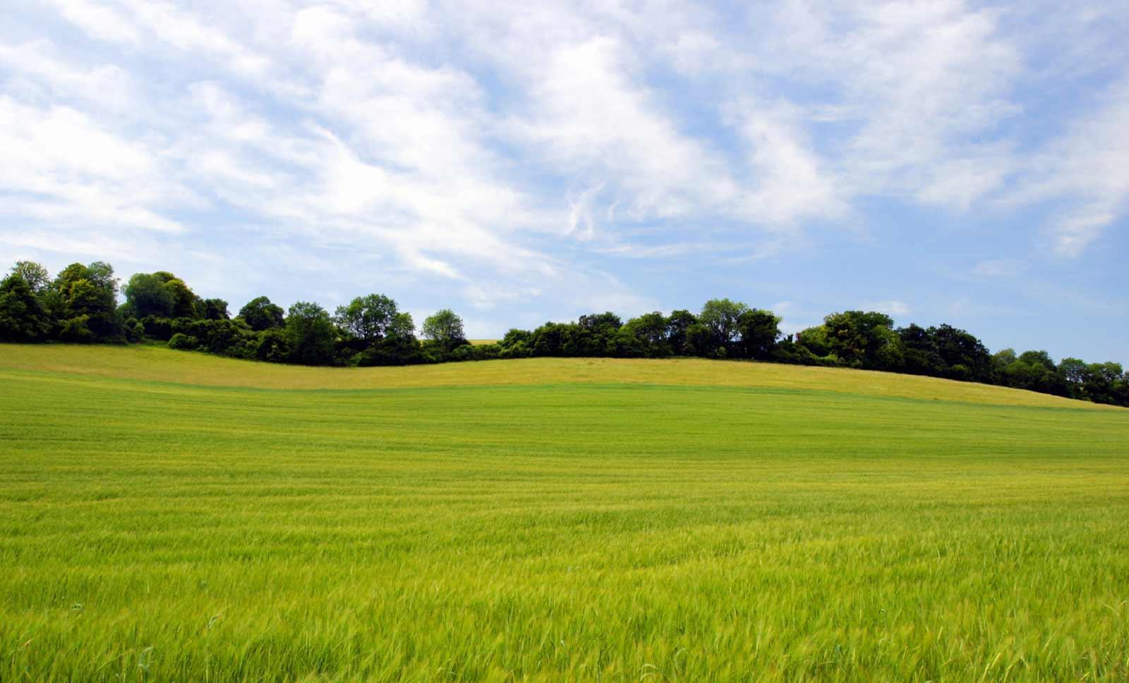 Toolbox for Farm Transfer Planning | ONFARM