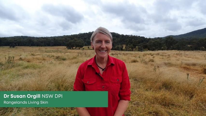 Rangelands Living Skin: Meet Dr Susan Orgill | ONFARM